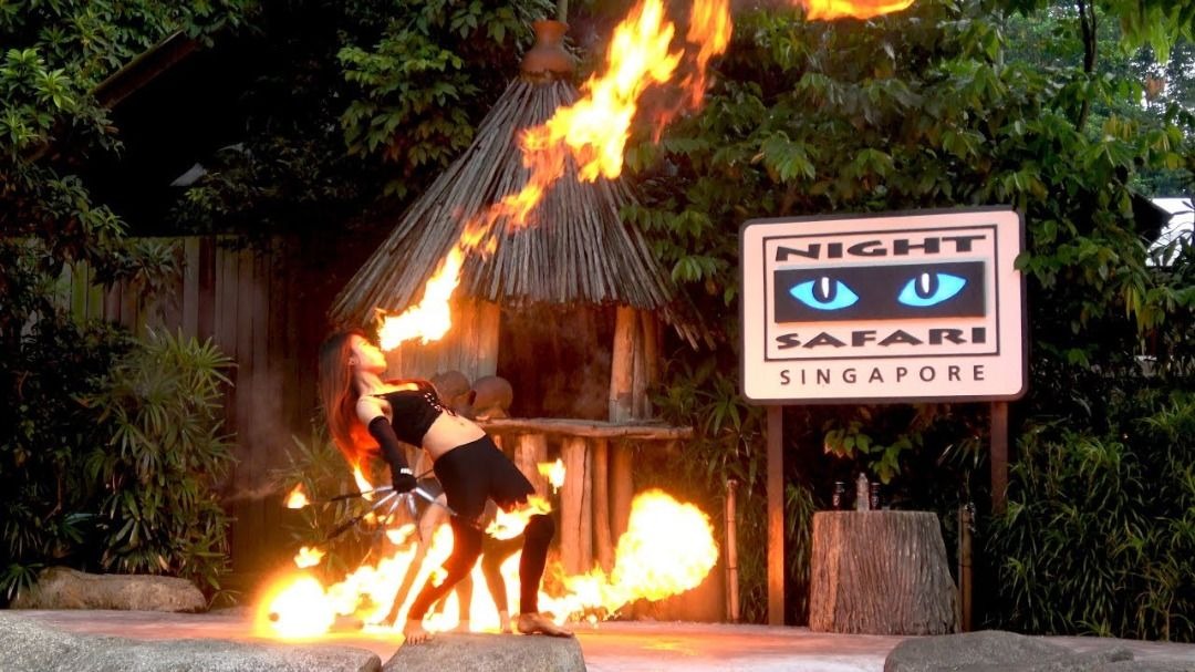 USS Tickets Universal Studios Singapore | Night Safari Tickets | Bird ...