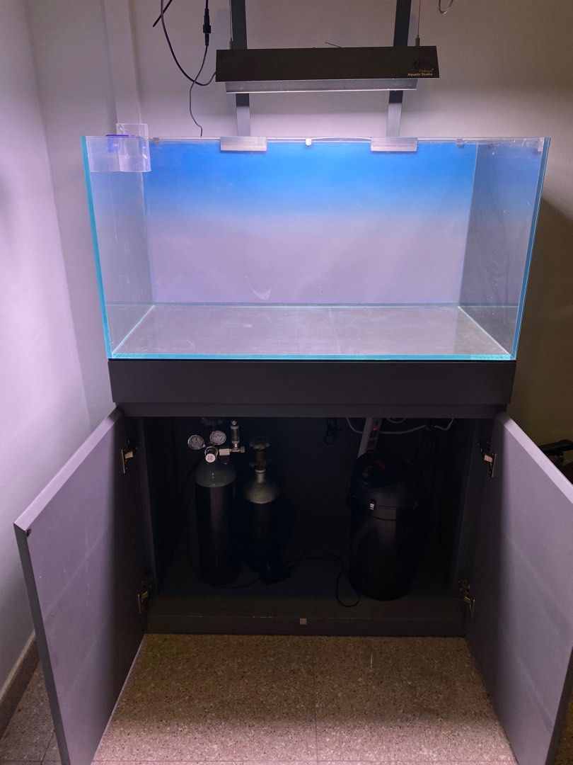 3ft crystal fish tank co2 chihiros eheim aquarium, Pet Supplies, Homes ...