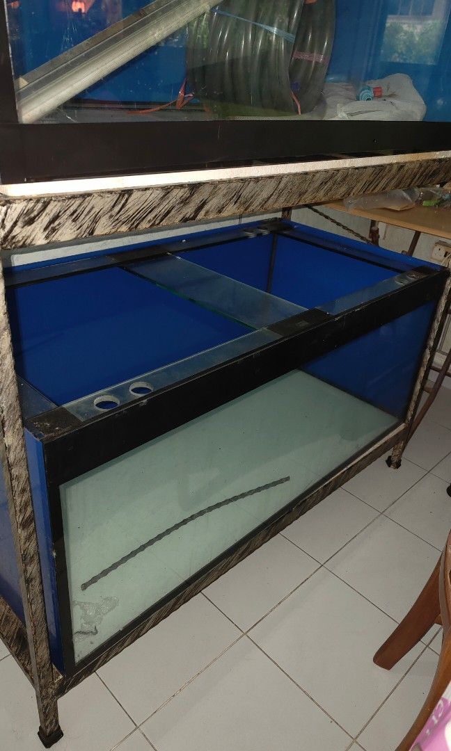 2 Tier 4ft Fish tank with stand, Pet Supplies, Homes & Other Pet ...