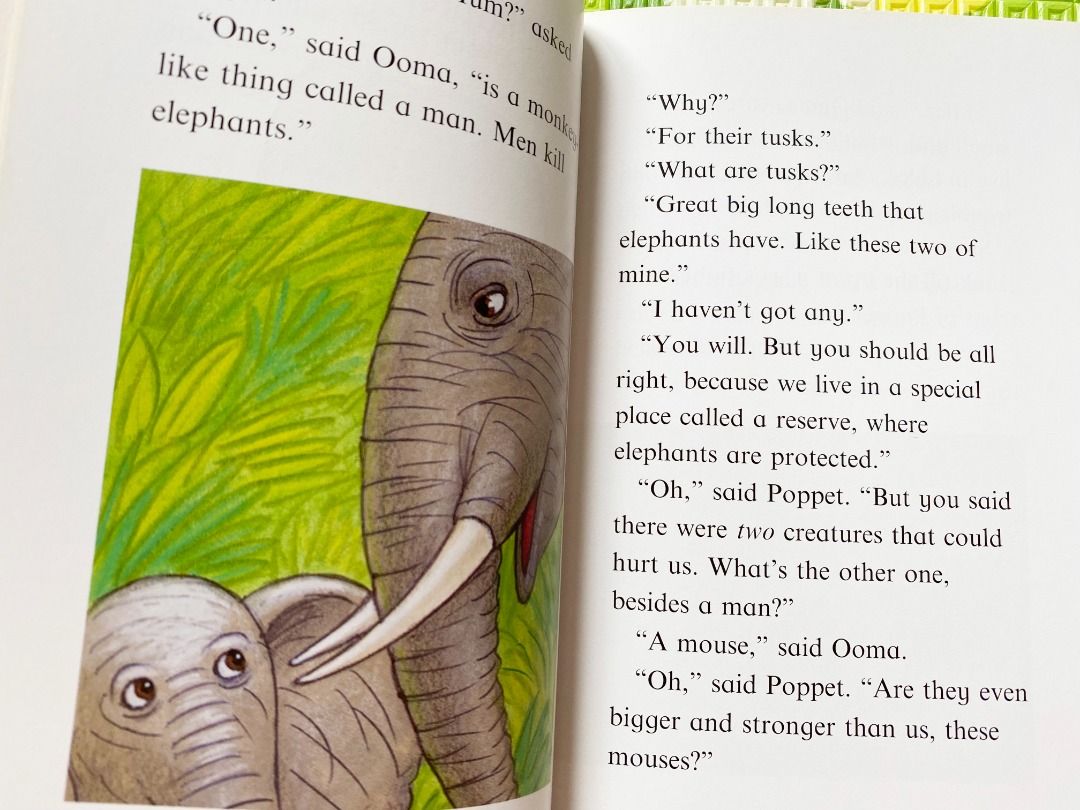 英文故事書 初階 Chapter Book 全彩頁 (The Robodog/Poppet/Mouse), 興趣及遊戲, 書本 & 文具 ...