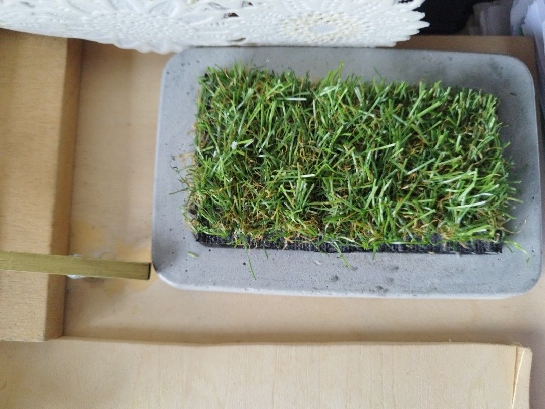 Concrete fingerboard ledge with grass patch, Hobbies & Toys, Toys ...