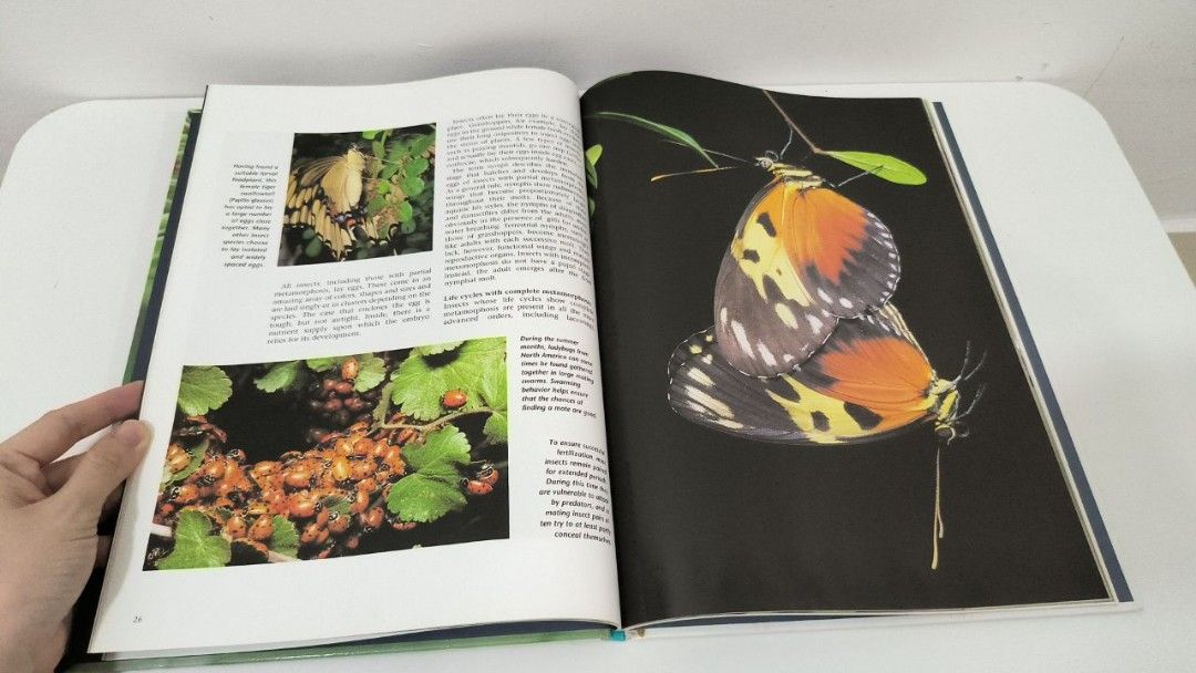 Hardcover Insects A portrait of the animal world Large size - all real ...