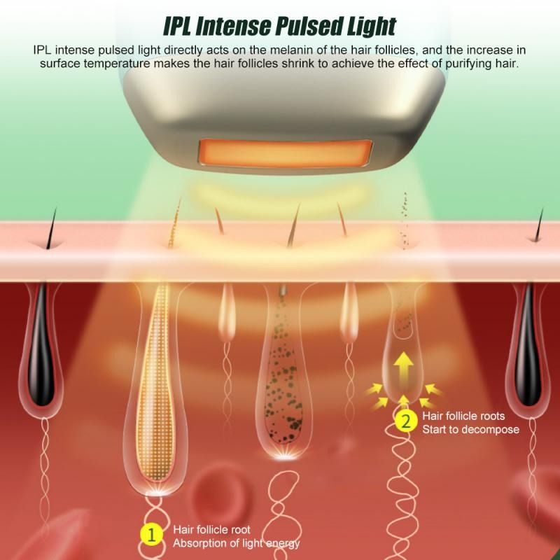 Ipl 900000 Flash Permanent Whole Body Laser Hair Removal Ipl Epilator