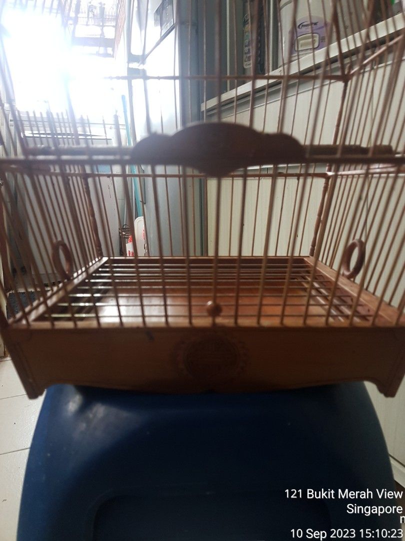Jambul Cage 17 Stick, Pet Supplies, Homes & Other Pet Accessories on Carousell