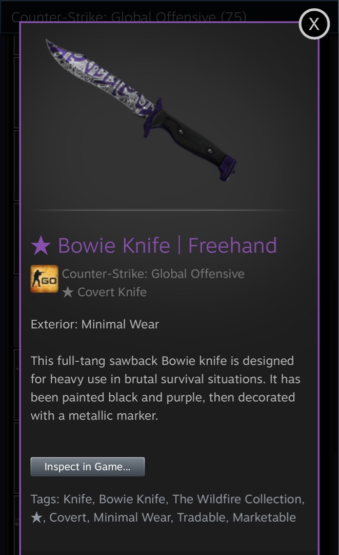 CS2 (MW) Bowie Knife Freehand, Video Gaming, Gaming Accessories, In ...