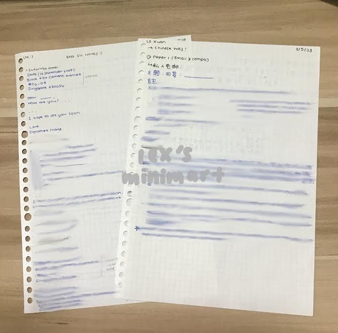 O LEVEL ENGLISH AND HIGHER CHINESE PAPER 1 FORMAT NOTES (GCSE), Hobbies ...