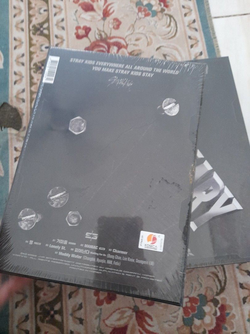 Sealed skz stray kids ordinary, Hobbies & Toys, Collectibles ...