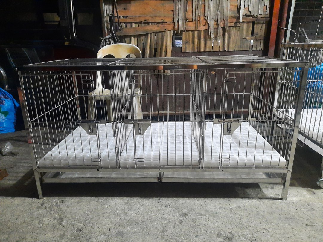 2x4x2 304 Stainless Cage, Pet Supplies, Homes & Other Pet Accessories ...
