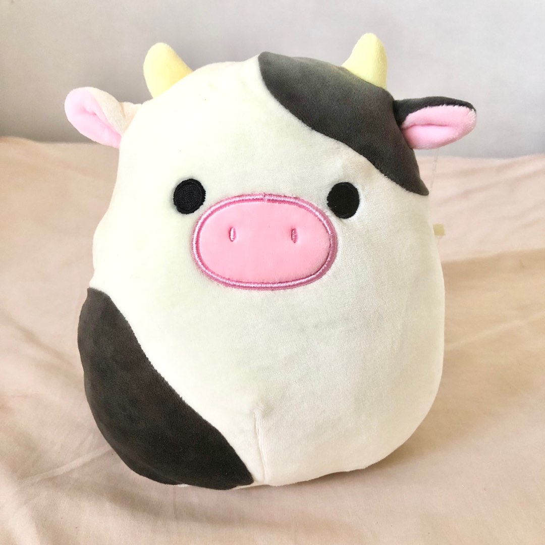 Connor the cow squishmallows 8“, Hobbies & Toys, Toys & Games on Carousell