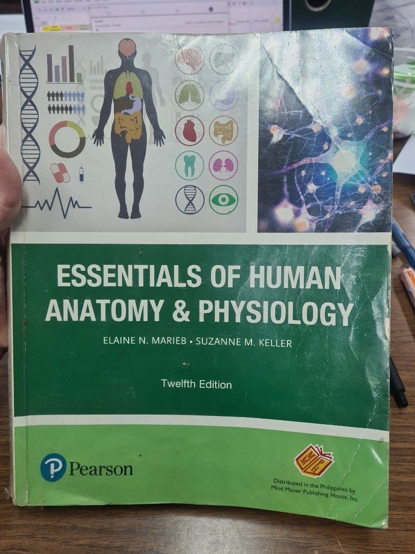 Essentials of Human Anatomy &Physiology (Pearson), Hobbies & Toys ...