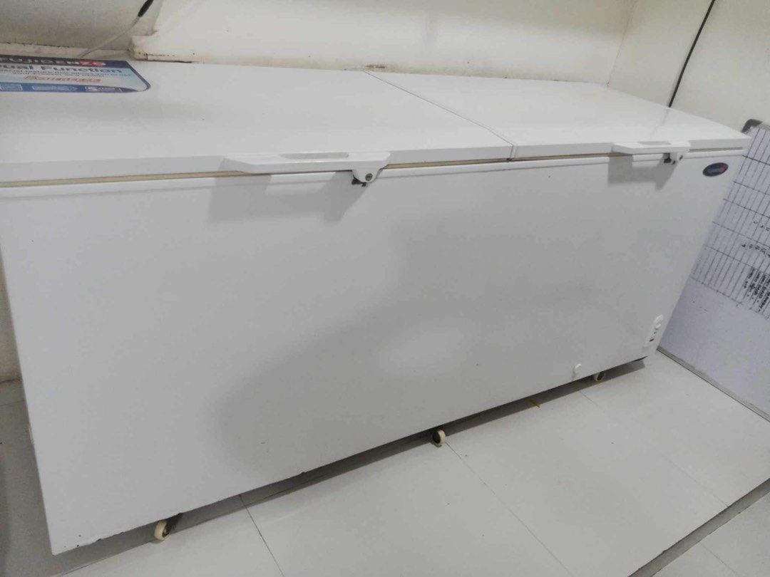 Fujidenzo 22 cu. ft. Dual Function Solid Top Chest Freezer, (FC-22GDF2 ...