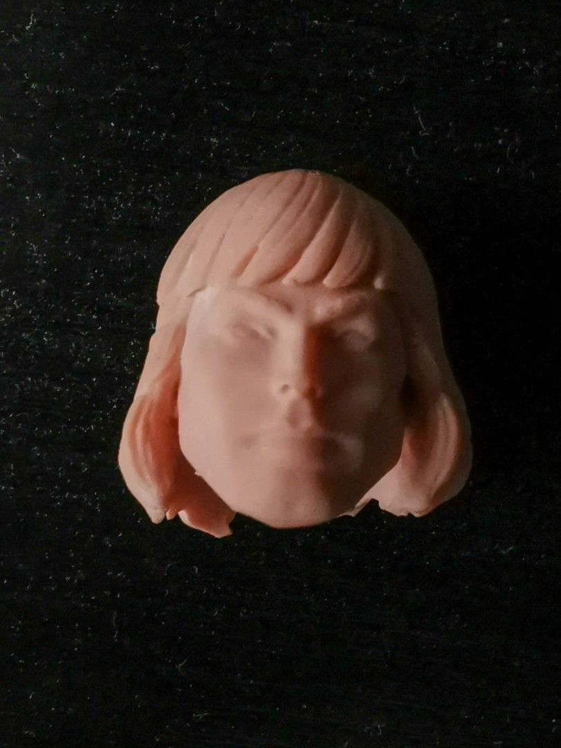 He Man Headsculpt 1/12 (unpainted), Hobbies & Toys, Toys & Games on ...