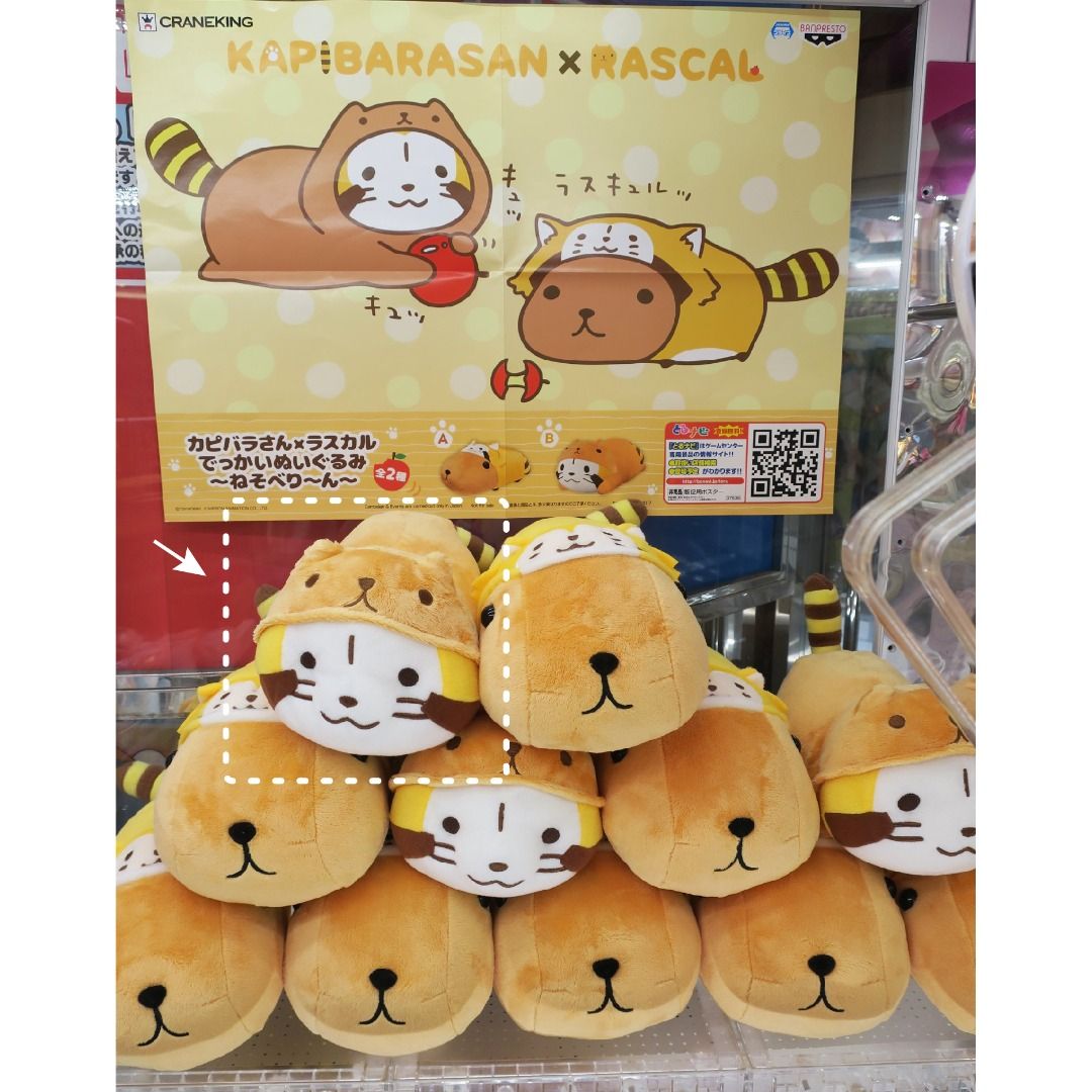"Kapibarasan x Rascal" (Tryworks x Nippon Animation) Rascal in ...