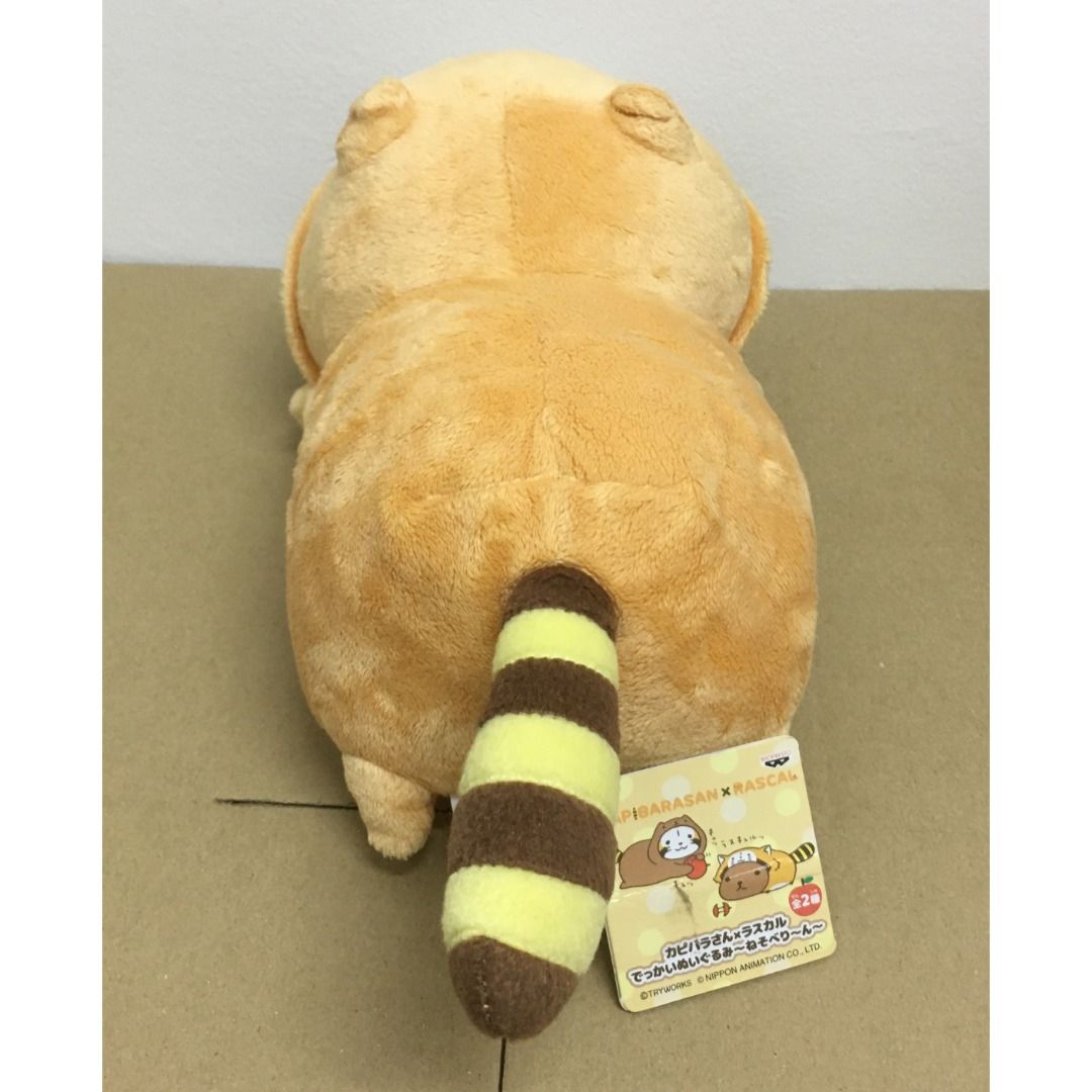 "Kapibarasan x Rascal" (Tryworks x Nippon Animation) Rascal in ...