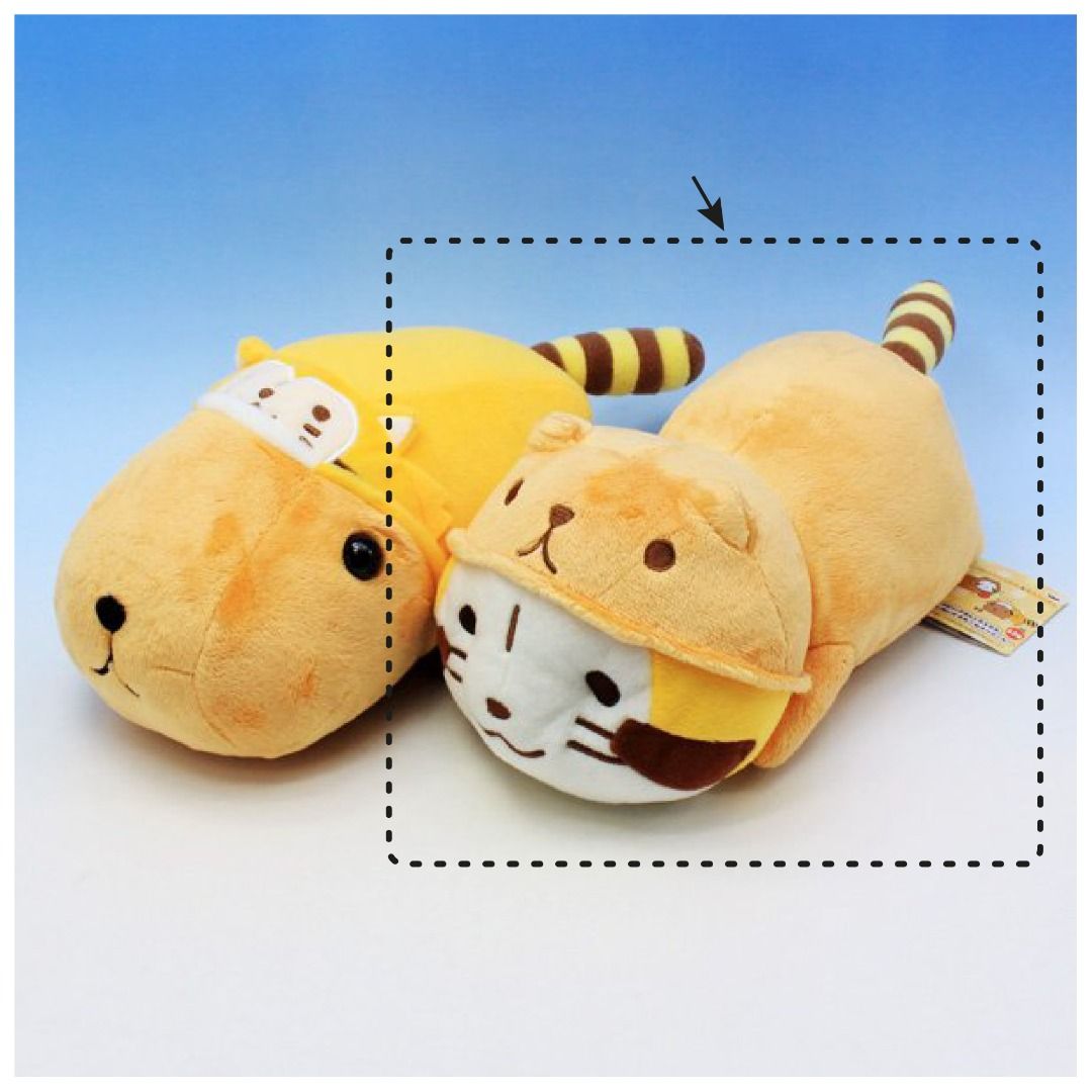 "Kapibarasan x Rascal" (Tryworks x Nippon Animation) Rascal in ...