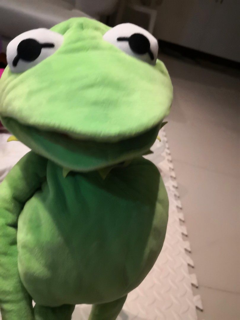 Kermit the frog stuff puppet toy, Hobbies & Toys, Toys & Games on Carousell