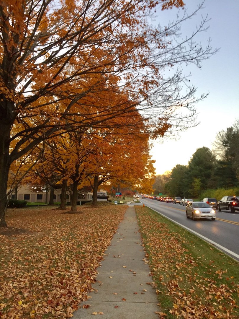 New collection tomorrow! Tuesday, September 12 .. Shop rules ...