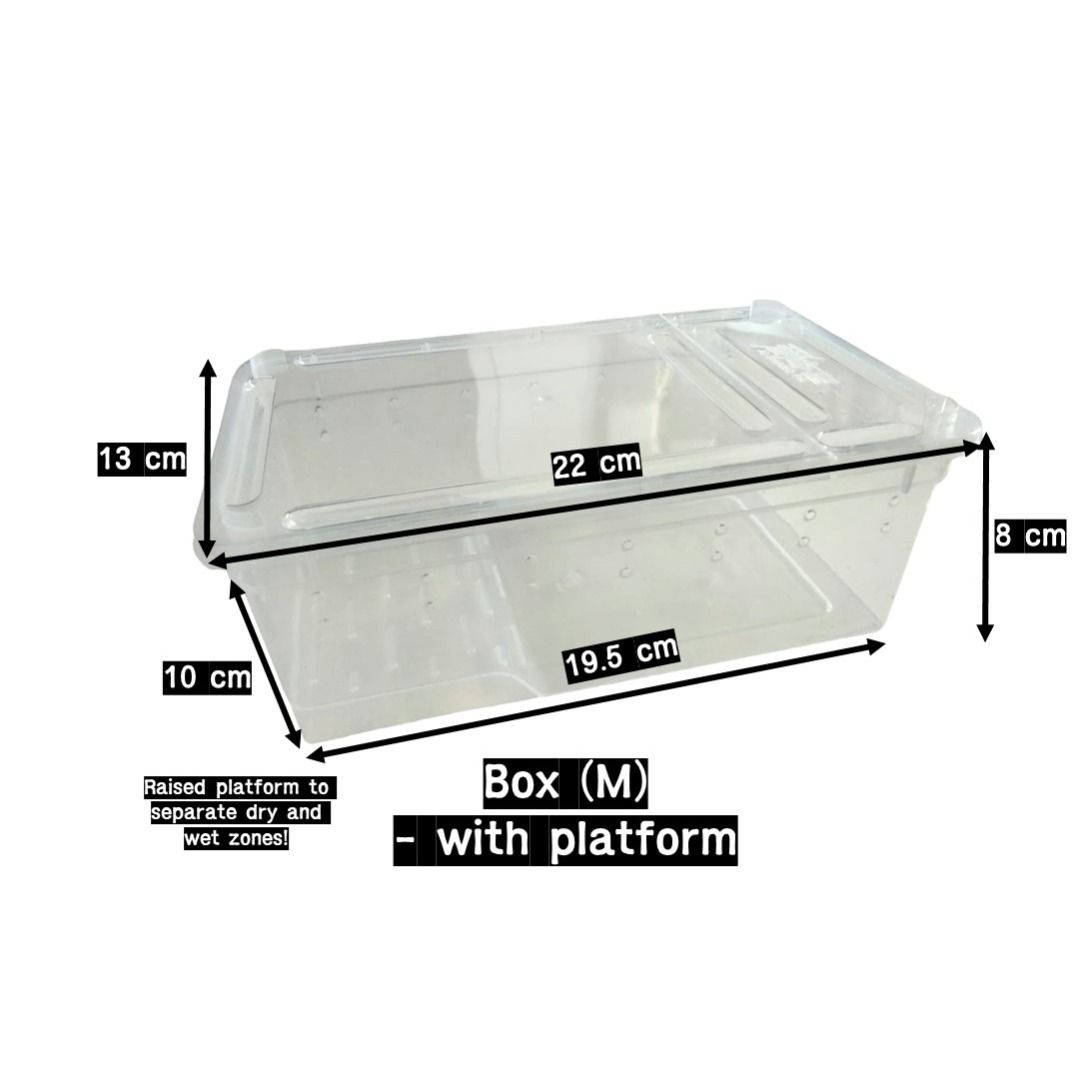 Plastic Containers 🫙 for Small Animal Habitat Isopod Snail, Pet ...