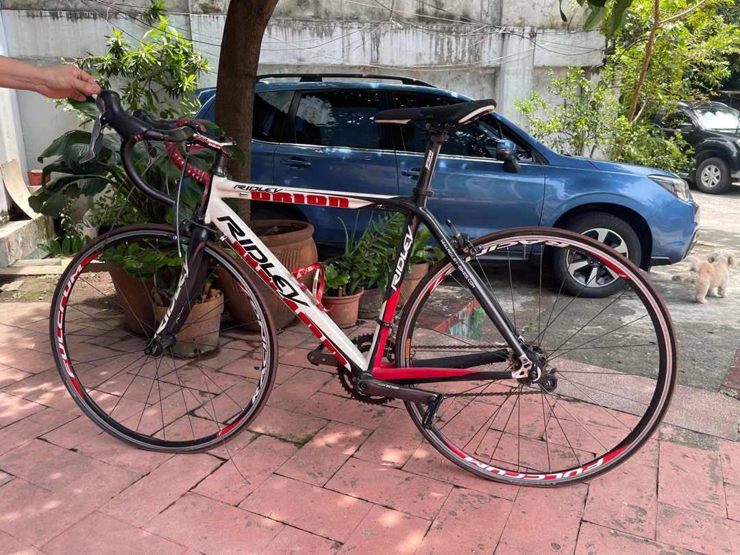 Ridley Road Bike, Sports Equipment, Bicycles & Parts, Bicycles on Carousell