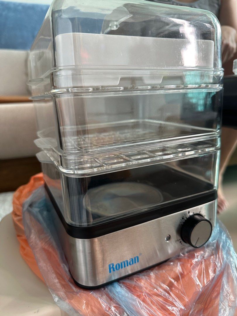 ROMAN mini steamer, TV & Home Appliances, Kitchen Appliances, Other ...