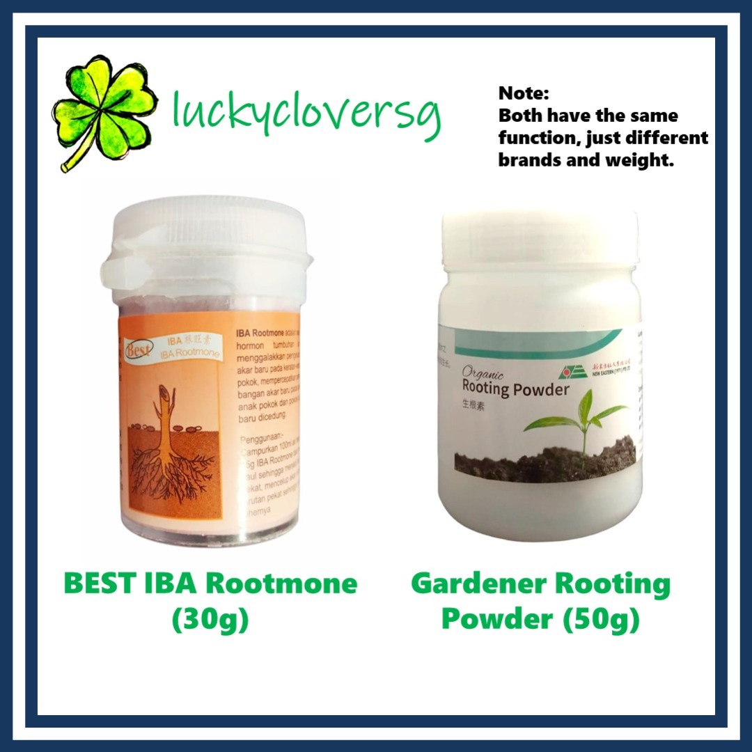 Rooting Powder, Furniture & Home Living, Gardening, Garden Soil ...