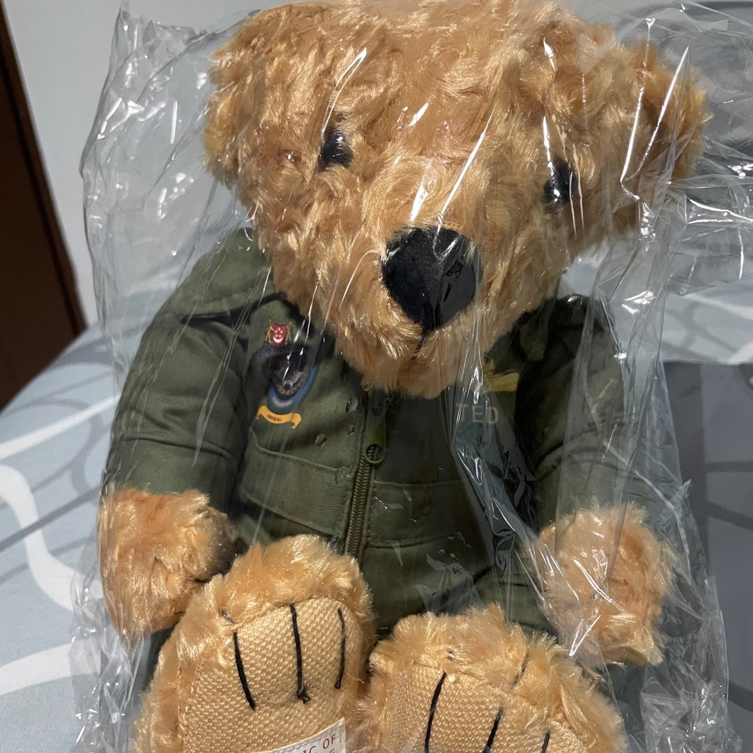 RSAF Air Force Open House 2023 Captain Ted, Hobbies & Toys, Toys ...
