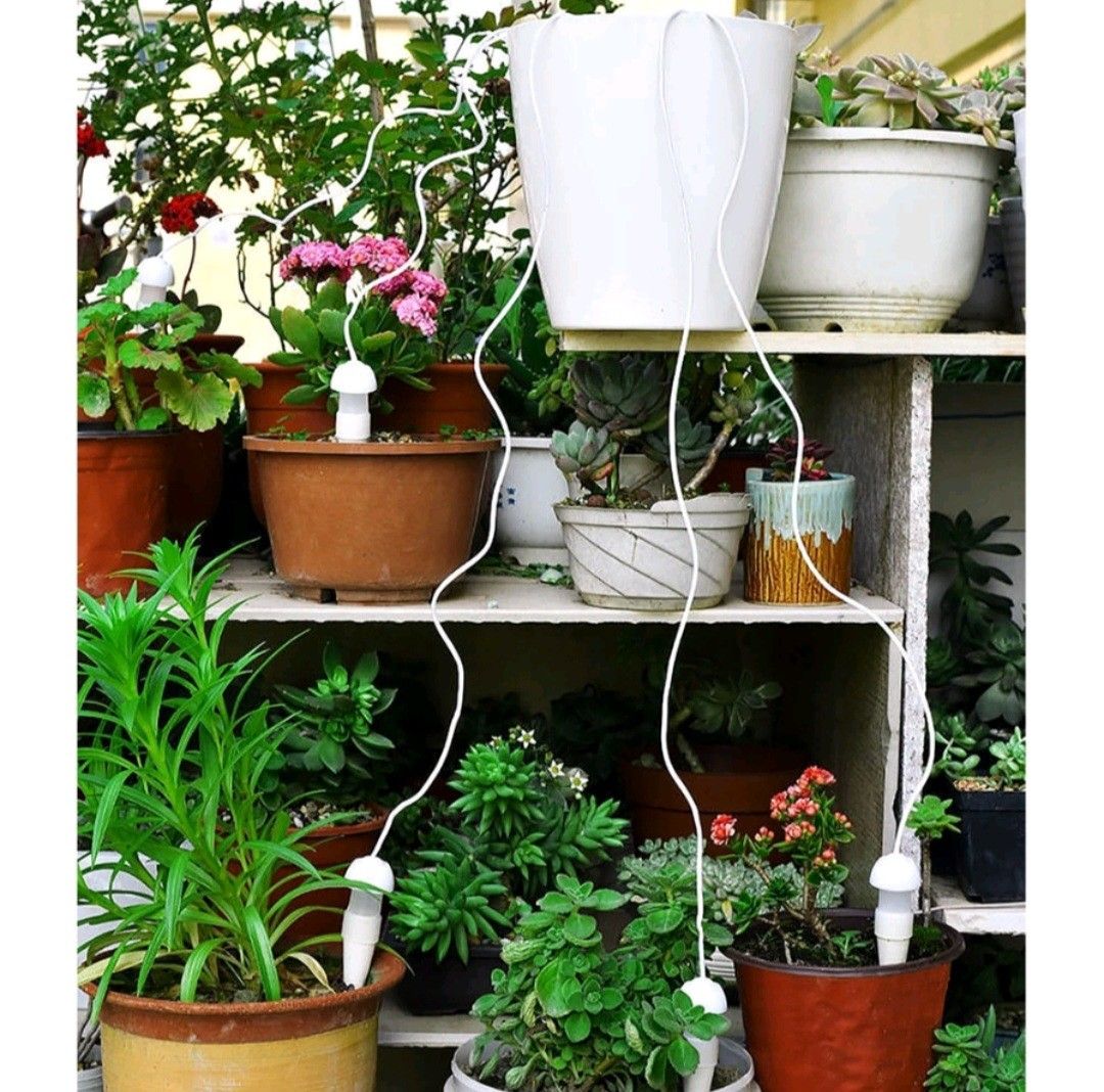 Self watering probe plant automatic watering spike, Furniture & Home ...