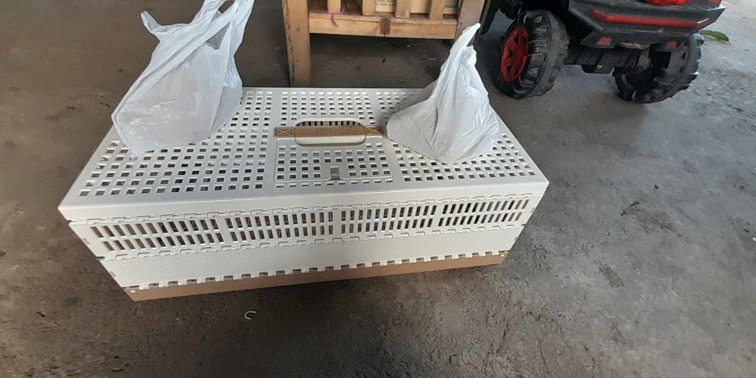 taiwan training box TBox, Pet Supplies, Homes & Other Pet Accessories ...