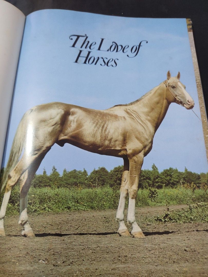 The Love of Horses by Anne Alcock (Hardbound), Hobbies & Toys, Books ...