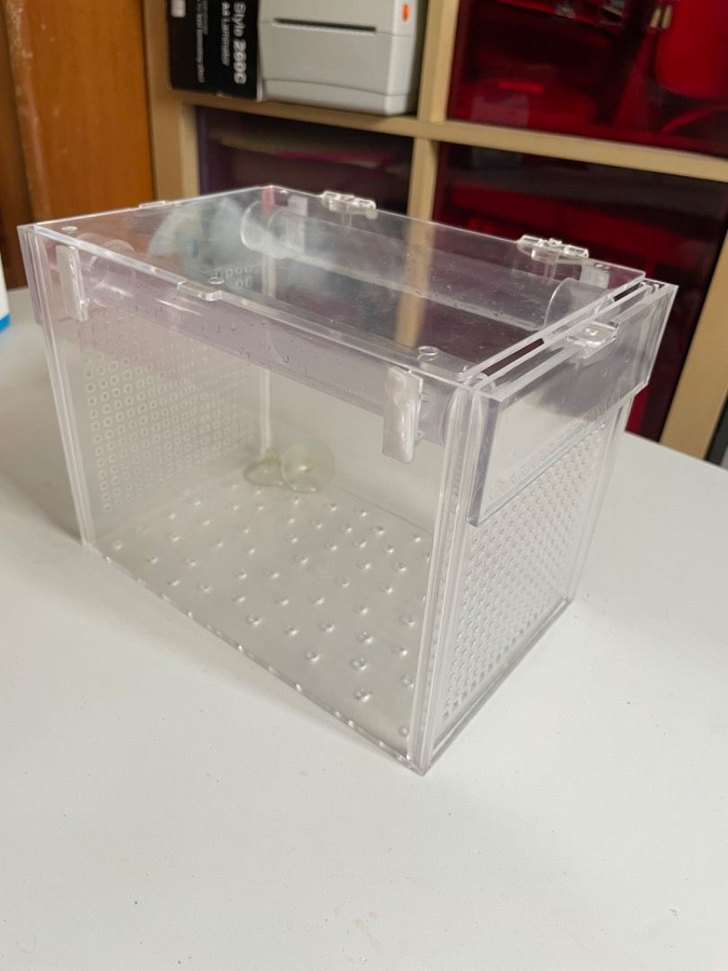 Aquarium separator float, Pet Supplies, Homes & Other Pet Accessories ...