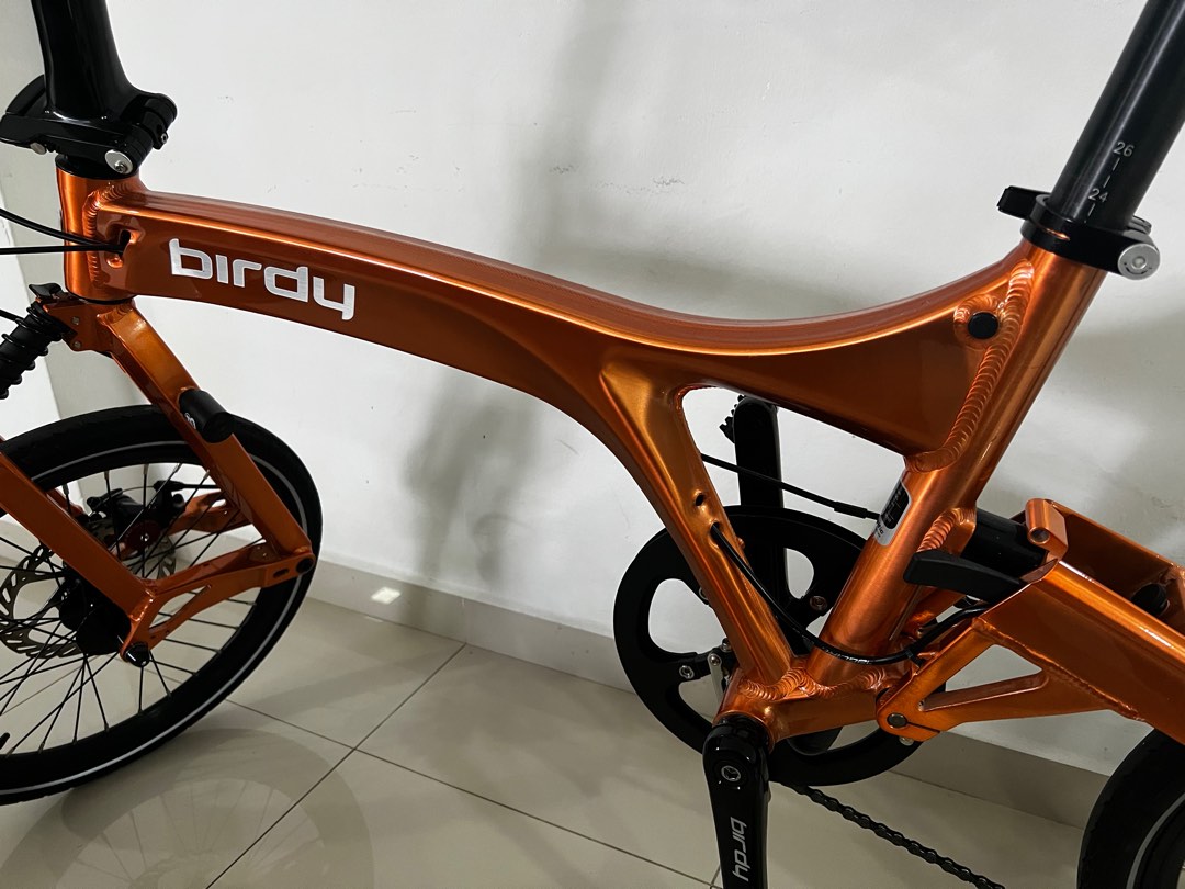 Birdy Gen 3, Sports Equipment, Bicycles & Parts, Bicycles on Carousell