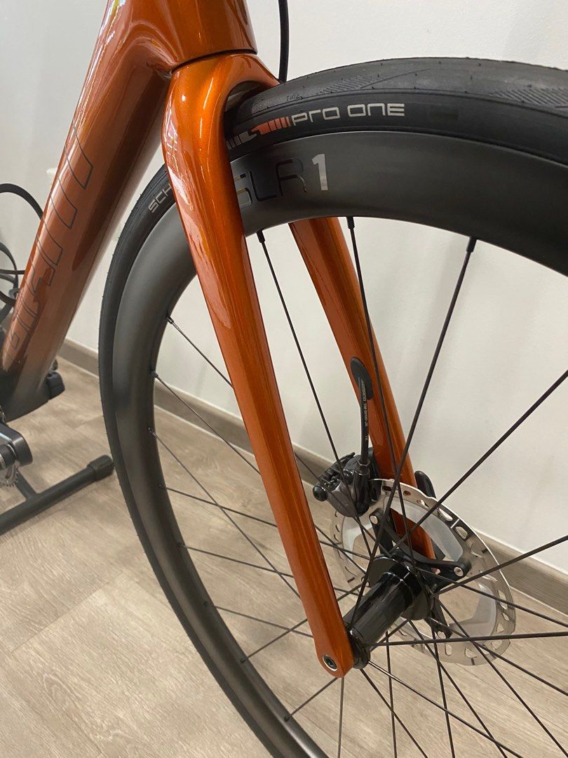 Giant TCR Adv PRO 0 Frameset only (2022) , Sports Equipment, Bicycles & Parts, Bicycles on Carousell