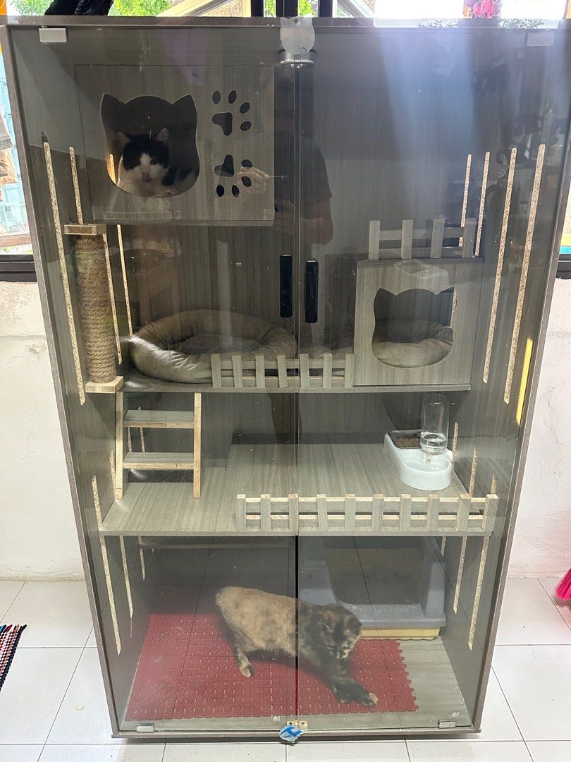 Glass Display Cat Condo, Pet Supplies, Homes & Other Pet Accessories on ...