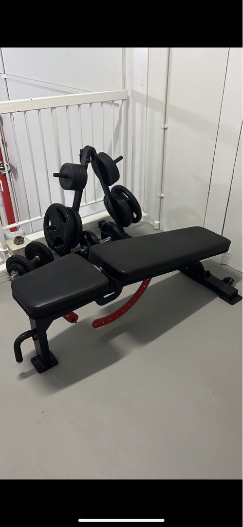 Gym bench, weights, weight tree, Sports Equipment, Exercise & Fitness ...