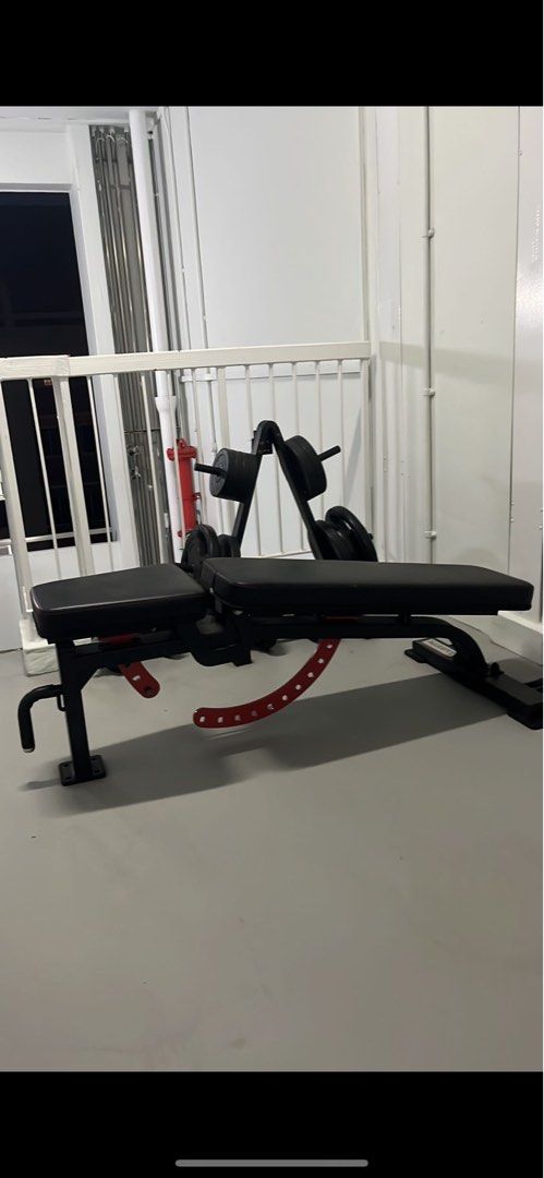 Gym bench, weights, weight tree, Sports Equipment, Exercise & Fitness ...