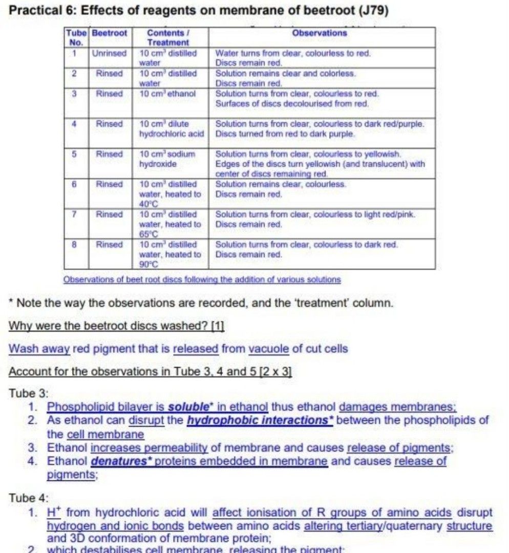 A Levels H2 Biology Practical Notes and Past A Level Exam Papers ...