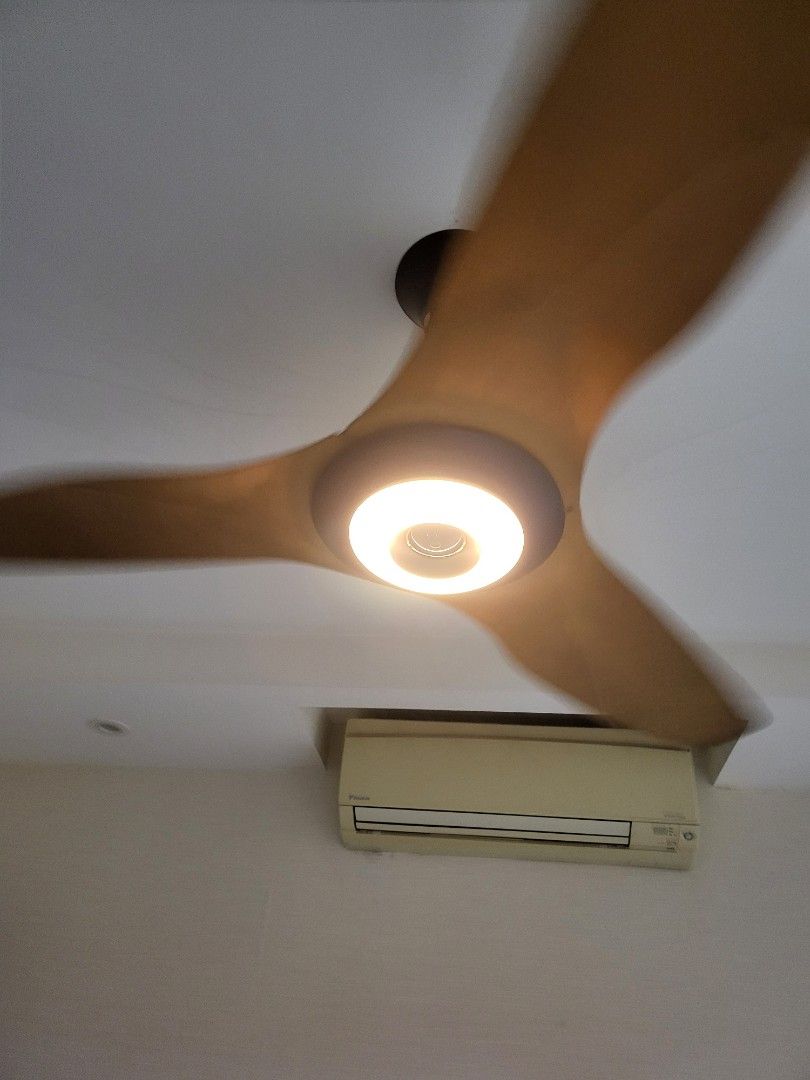 Haiku 52" bamboo WiFi series, TV & Home Appliances, Other Home ...