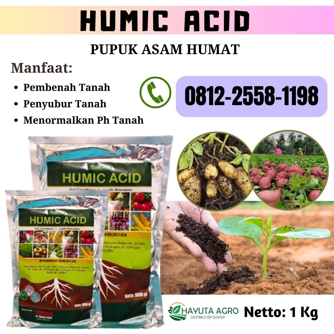 HARGA KHUSUS! TELP! 0812-2558-1198, PABRIK asam humat alami Bojonegoro ...