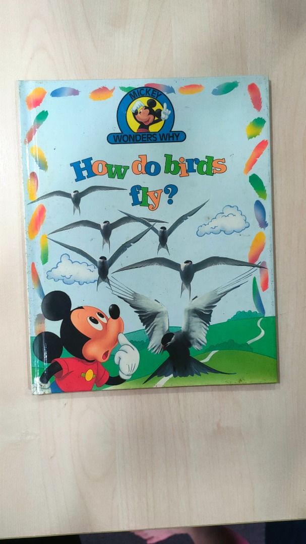 How Do Birds Fly ? (Mickey Wonders Why), Hobbies & Toys, Books ...