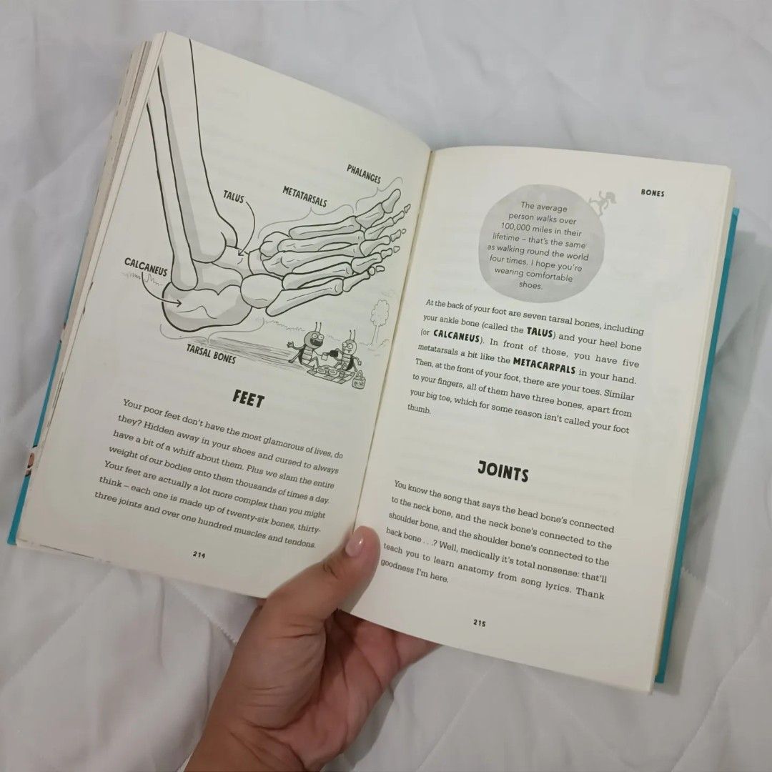 Kay's Anatomy by Adam Kay (Hardcover), Hobbies & Toys, Books ...