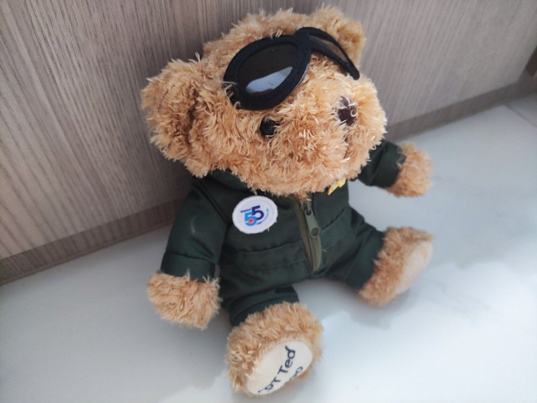 *LIMITED EDITION RSAF 55* CPT TED BEAR, Hobbies & Toys, Memorabilia & Collectibles, Fan ...
