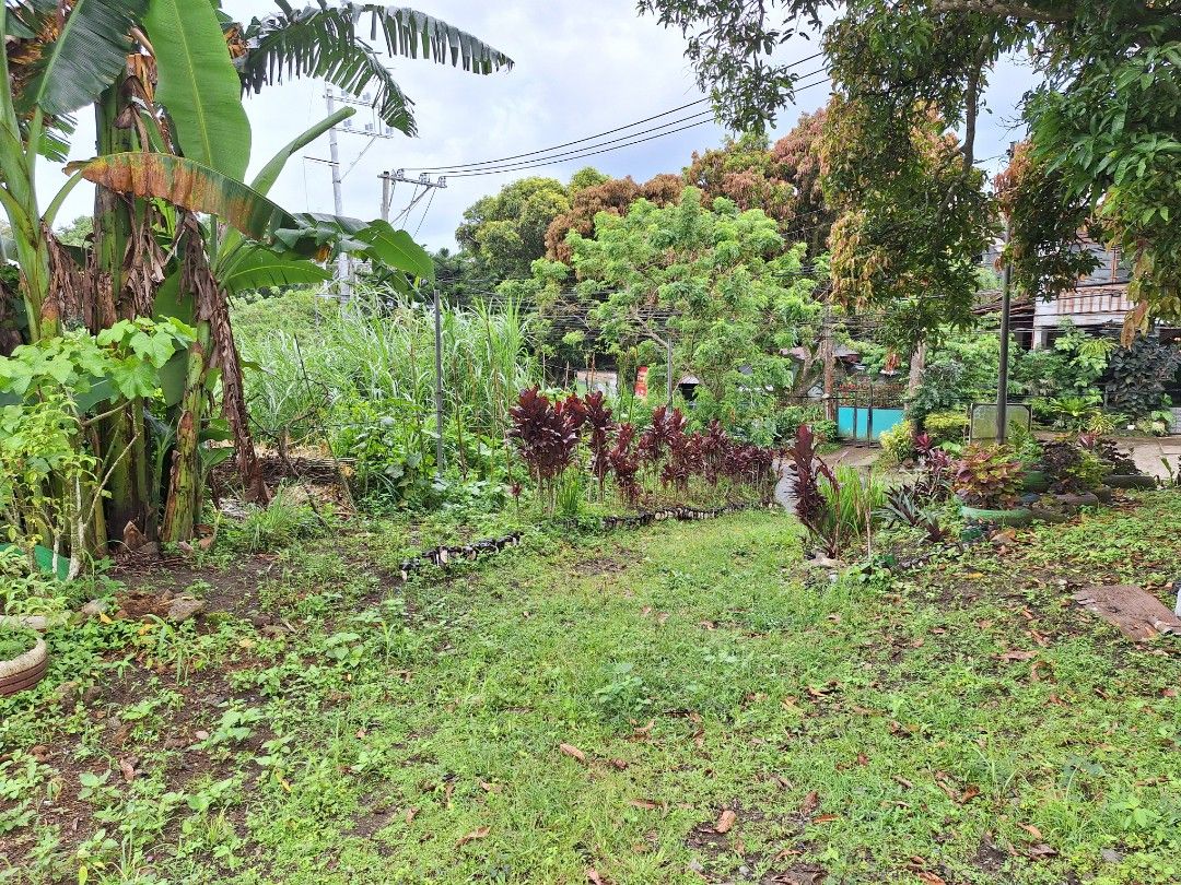 Lot for sale along SVD Road less than 100 meters from Starbucks ...