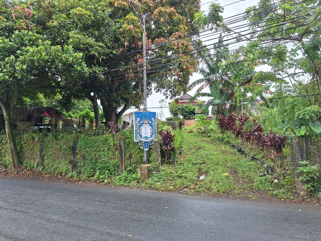 Lot for sale along SVD Road less than 100 meters from Starbucks ...