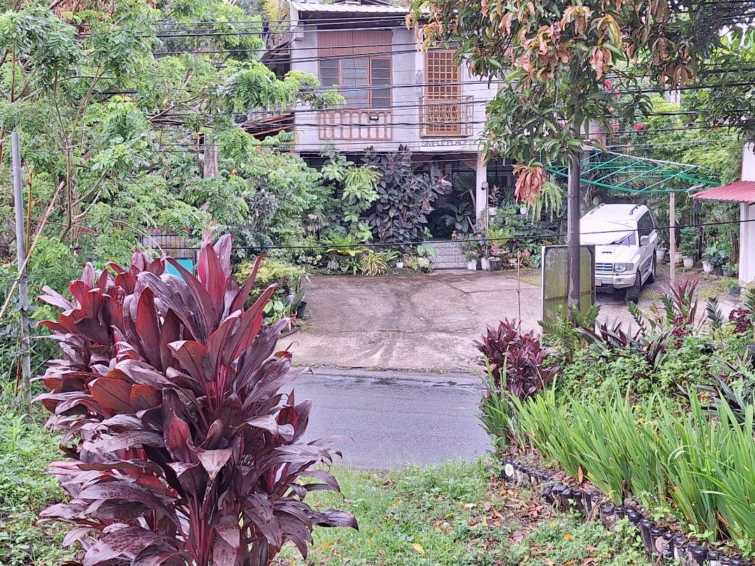 Lot for sale along SVD Road less than 100 meters from Starbucks ...
