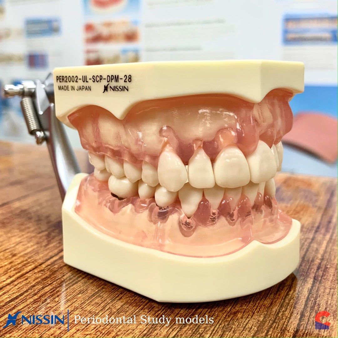 Nissin Perio Model, Health & Nutrition, Medical Supplies & Tools on ...