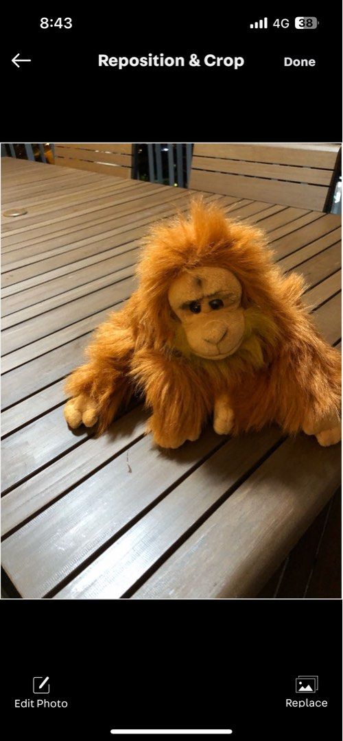Orangutan (Ah Meng) Singapore Zoo, Hobbies & Toys, Toys & Games on ...