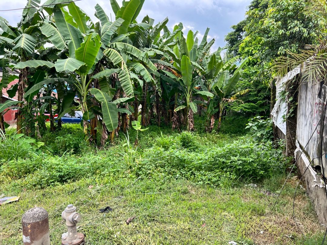 Prime Lot for Rent in Pit-os Talamban Cebu City 500 sq.m., Property ...