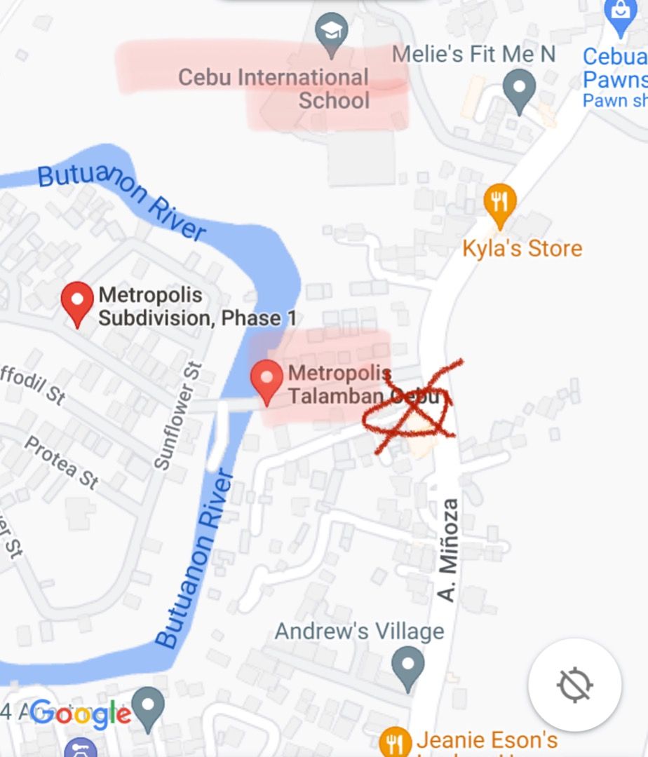 Prime Lot for Rent in Pit-os Talamban Cebu City 500 sq.m., Property ...
