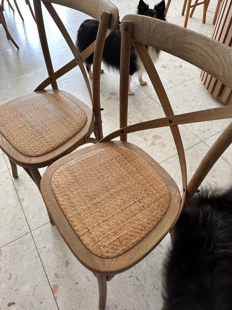 Rattan dining chairs, Furniture & Home Living, Furniture, Chairs on ...