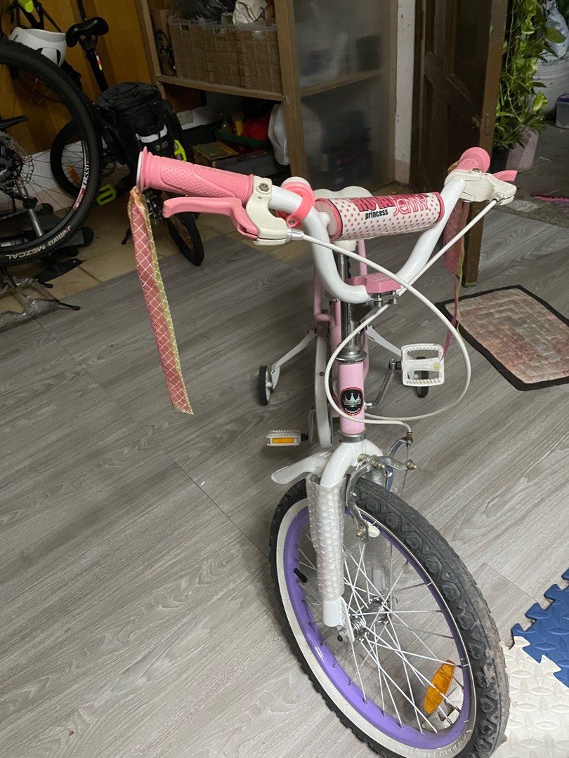 Royal Baby - Royal Rider 16-22" Kids Bike with Training wheels, Sports ...